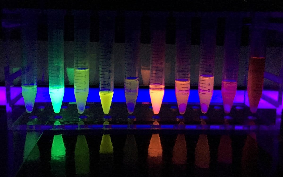 Green Fluorescent Protein (GFP) — Revolutionizing Science and Beyond ...