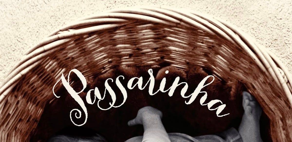 Passarinha — Kathryn Erskine. Se você pensou que criar uma história ...