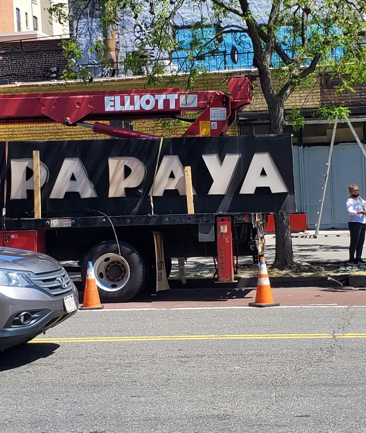 Adios, Papaya Dog. That’s cholesterol, folks | by T. Kent Jones | MuddyUm