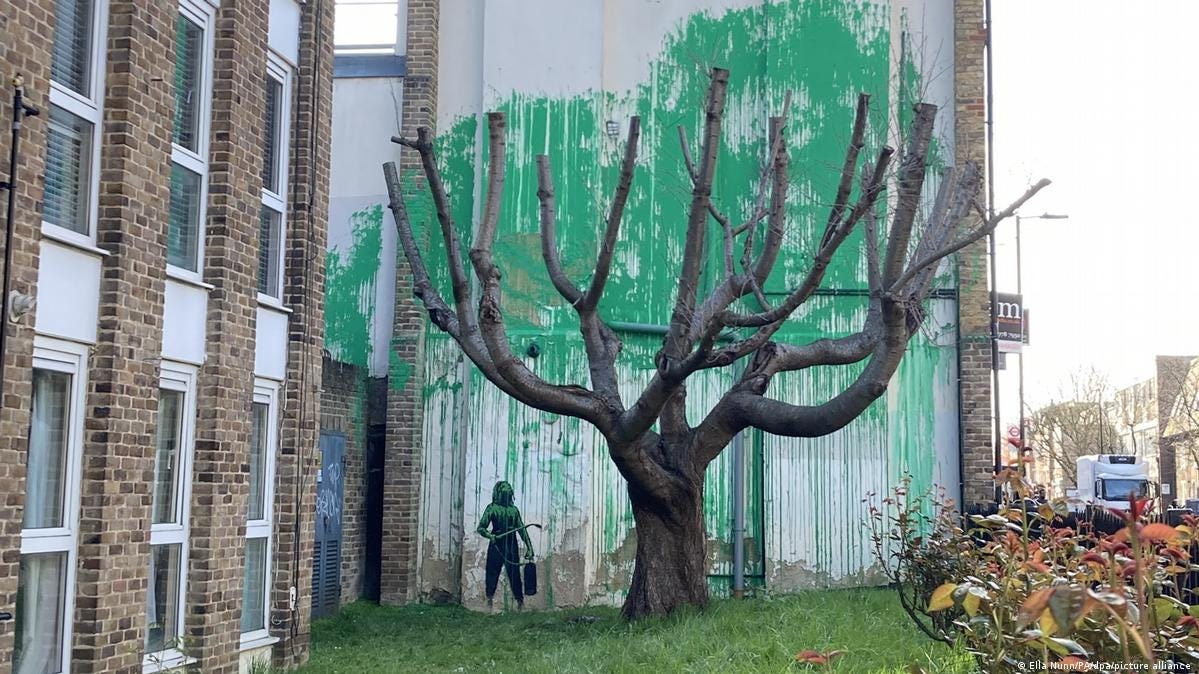 Banksy’s Urban Tree Artwork Sparks Debate | CanvasPublication