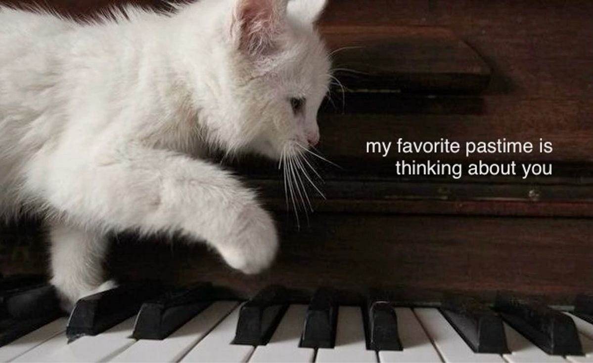 you’re the one i want. (i’m being real) | by kisa | Medium