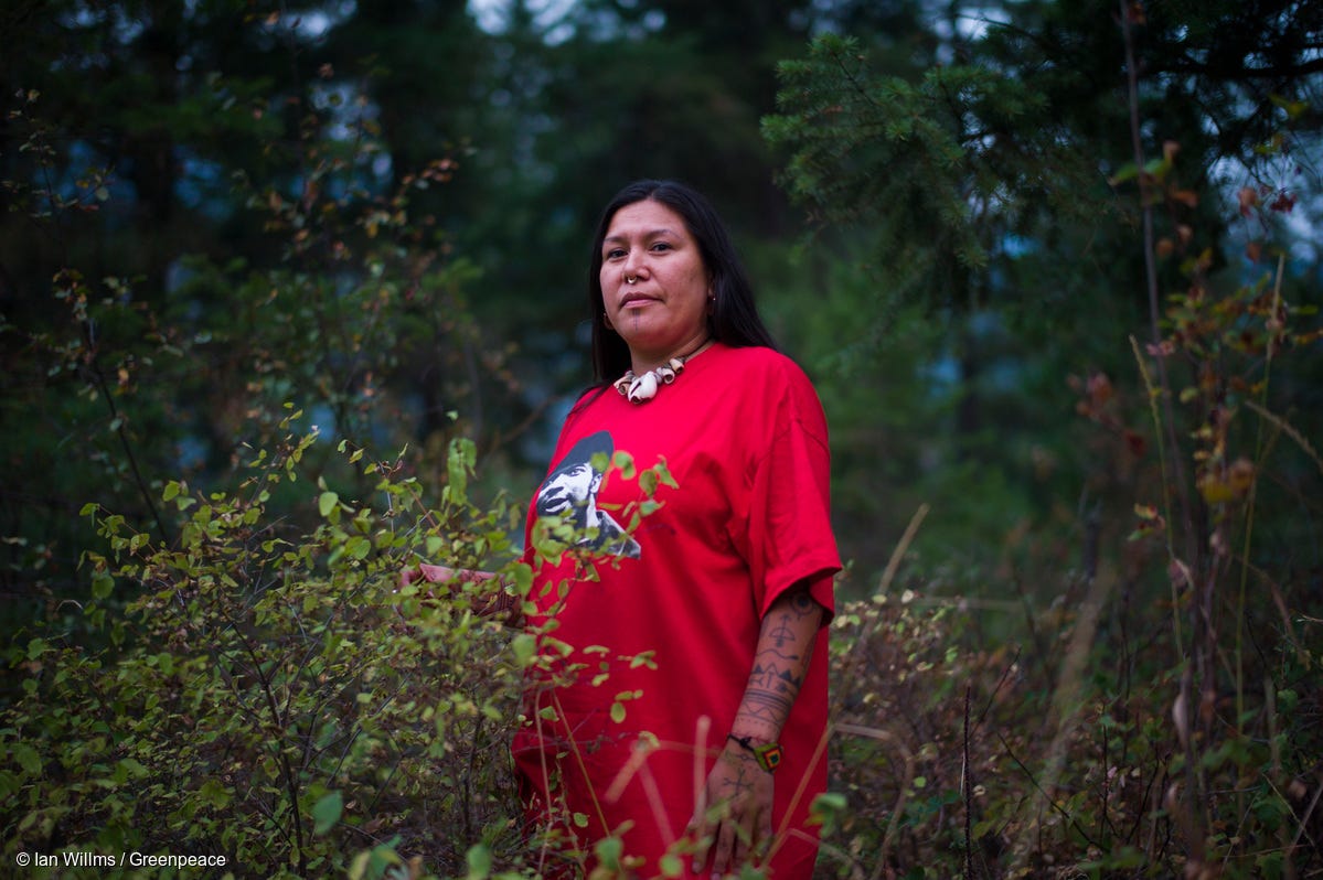 10 things you always wanted to ask an Indigenous land defender | by ...