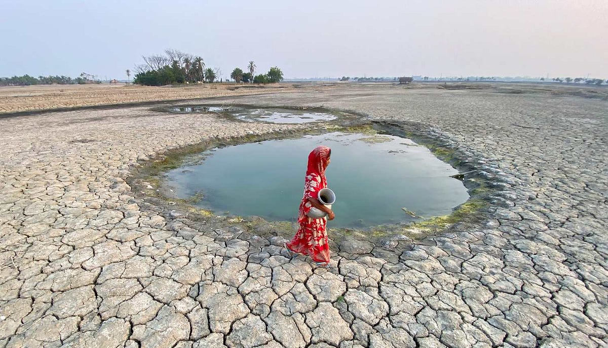 Is Earth getting too hot for people to survive? | by News Arena India ...