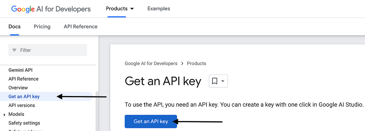 Integrating Gemini In Your Flutter Application | by Marvel Apps | Medium