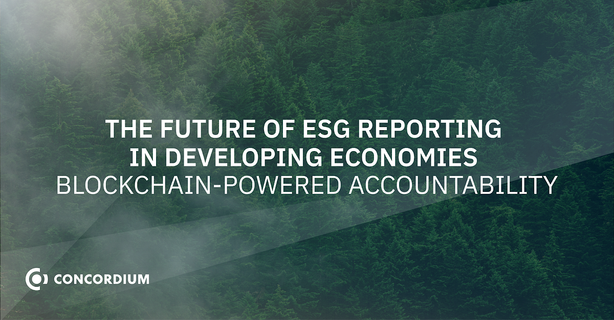 The Future of ESG Reporting in Developing Economies: Blockchain-Powered Accountability | by ...