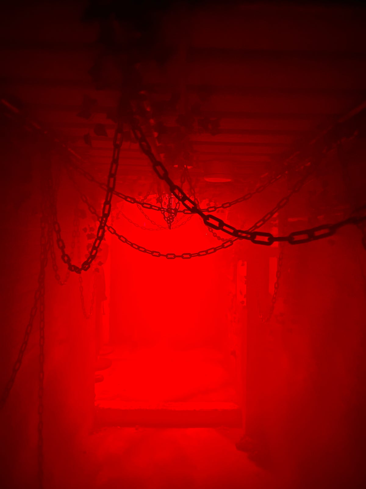 Chains. - Fruits - Medium