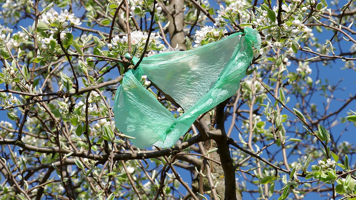 Wanderings Of An Ambulant Plastic Bag | by Turi Sue | Short and Weird | Medium