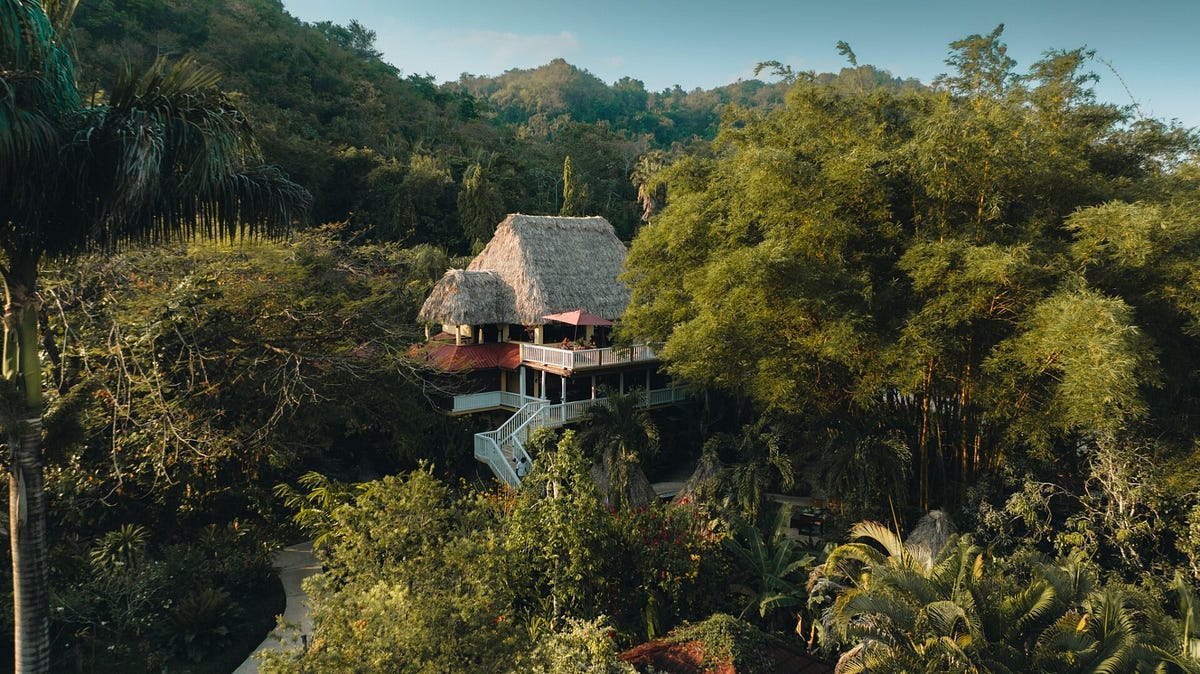A Belize Collection Thanksgiving: Indulge a Little With These Three ...