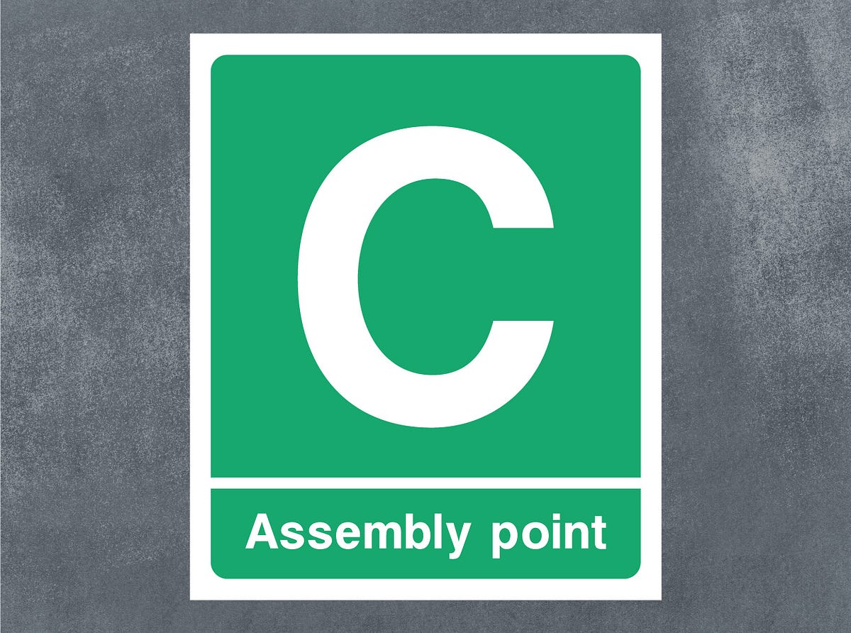 Writing Assembly Code in C: A Comprehensive Guide | by Robert McMenemy | Medium