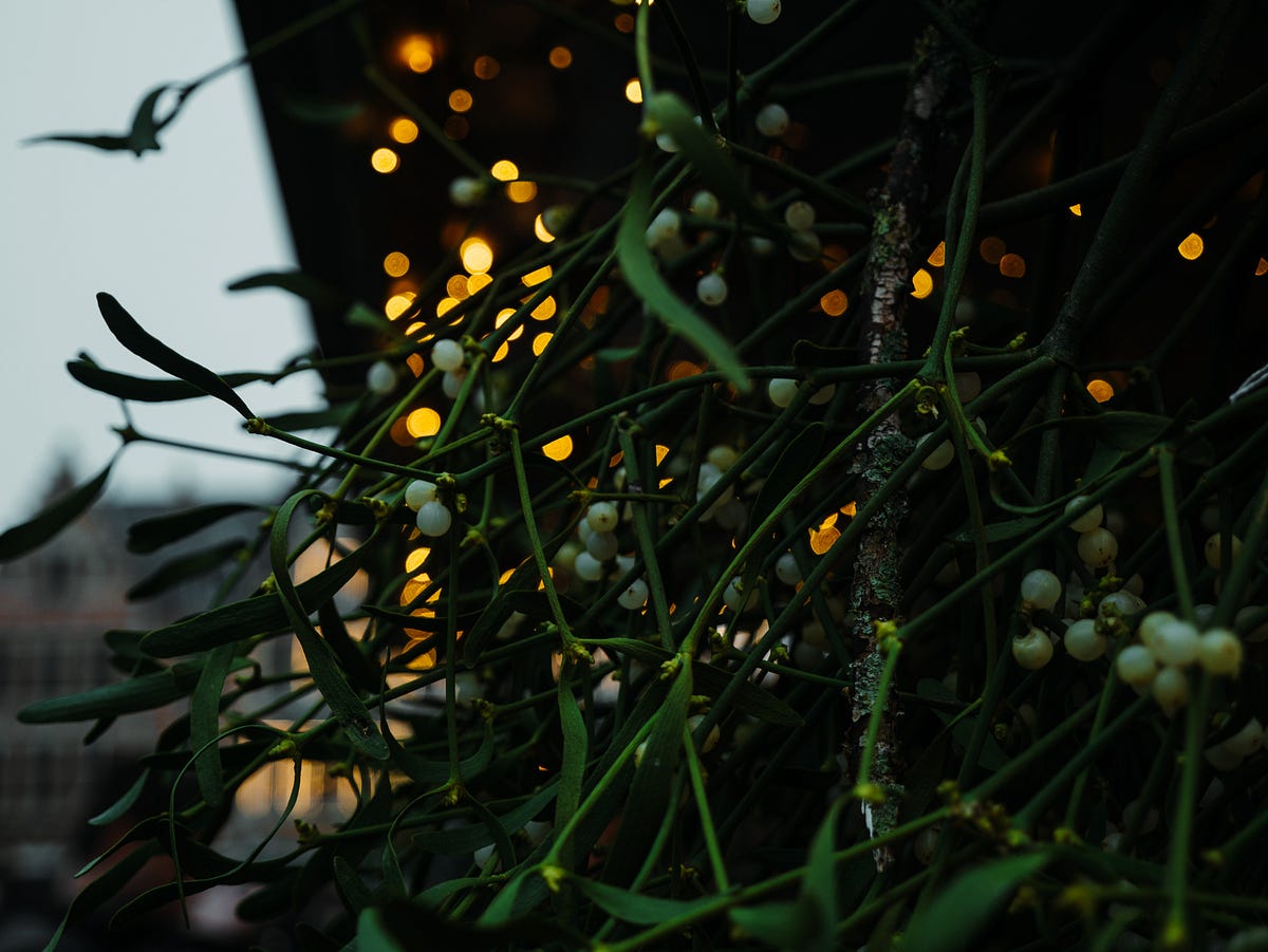 Fireflies. A Poem Exploring Small Acts Of Kindness | by Ilija Begic | ILLUMINATION | Medium