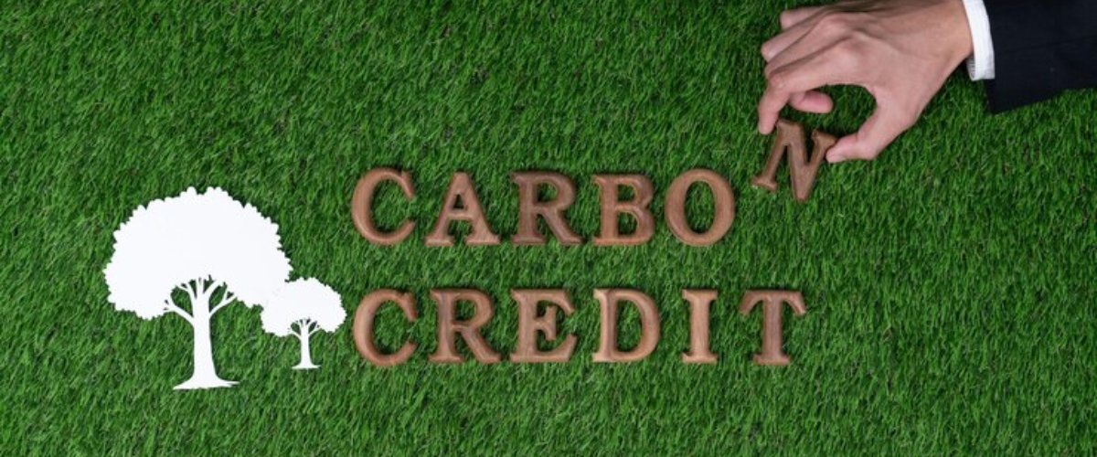 Carbon Credits 2 0 The Power Of Blockchain For A Sustainable Future By Spydra Apr 2024