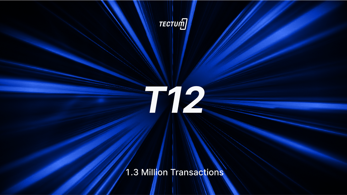 How the T12 Protocol Attains a Speed of 1.3 Million transactions? | by ...