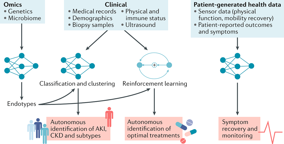 AI discovers new kidney process. Recent discoveries in the field of ...