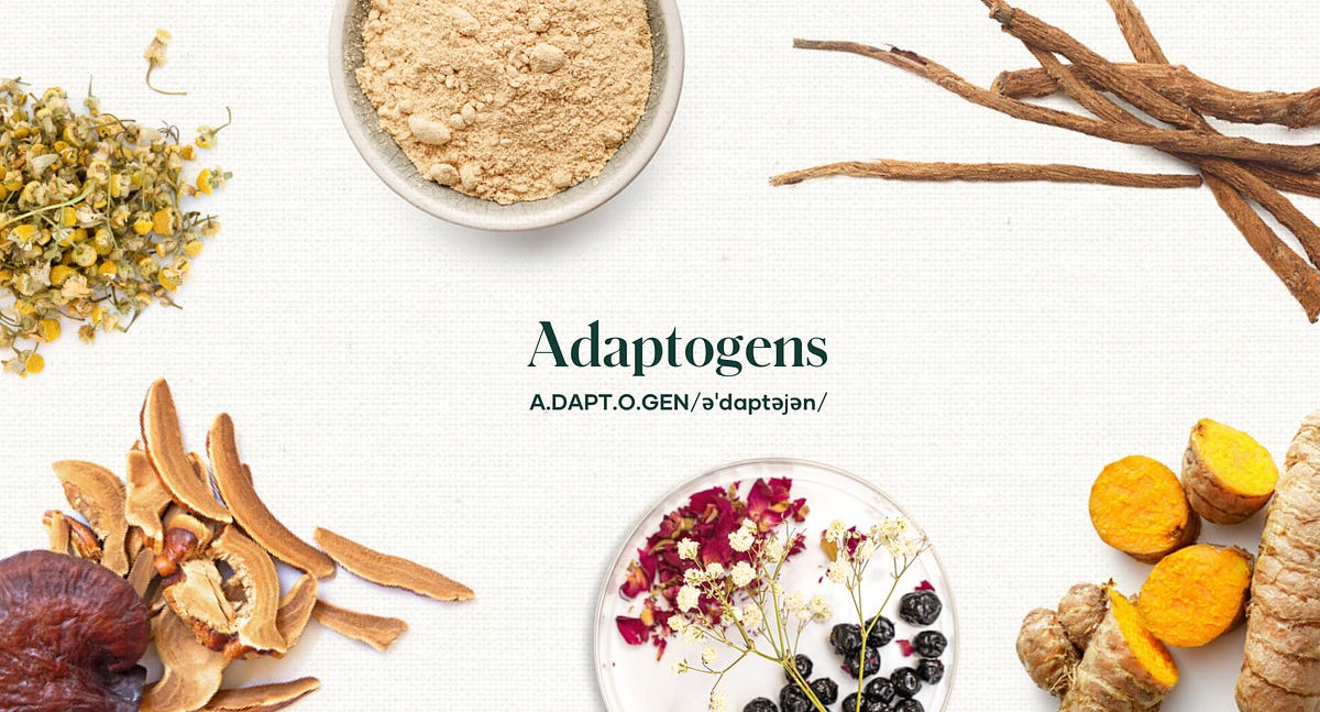 Harnessing the Power of Adaptogens: Combatting Stress for a Balanced ...