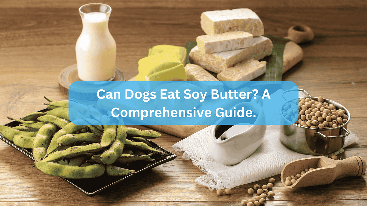 Can Dogs Eat Soy Butter? A Comprehensive Guide. | by Kartikey dwivedi ...
