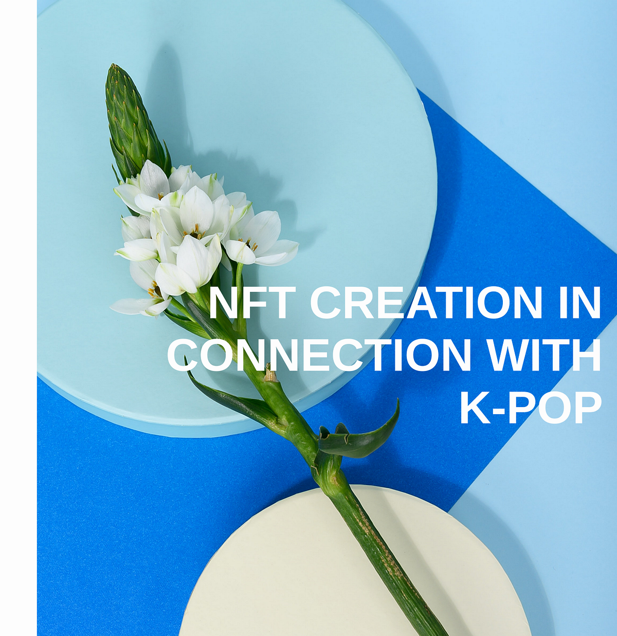 NFT creation in connection with K-POP | by LOTT | Medium