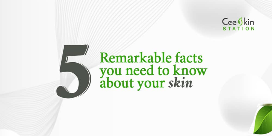 FIVE (5) REMARKABLE FACTS YOU DIDN’T KNOW ABOUT YOUR SKIN | by Cee Skin ...