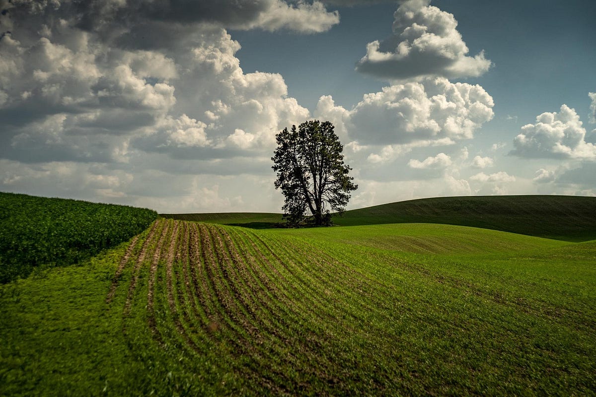 S Cubed. You’re probably reading this on the… | by Joe Eames ...