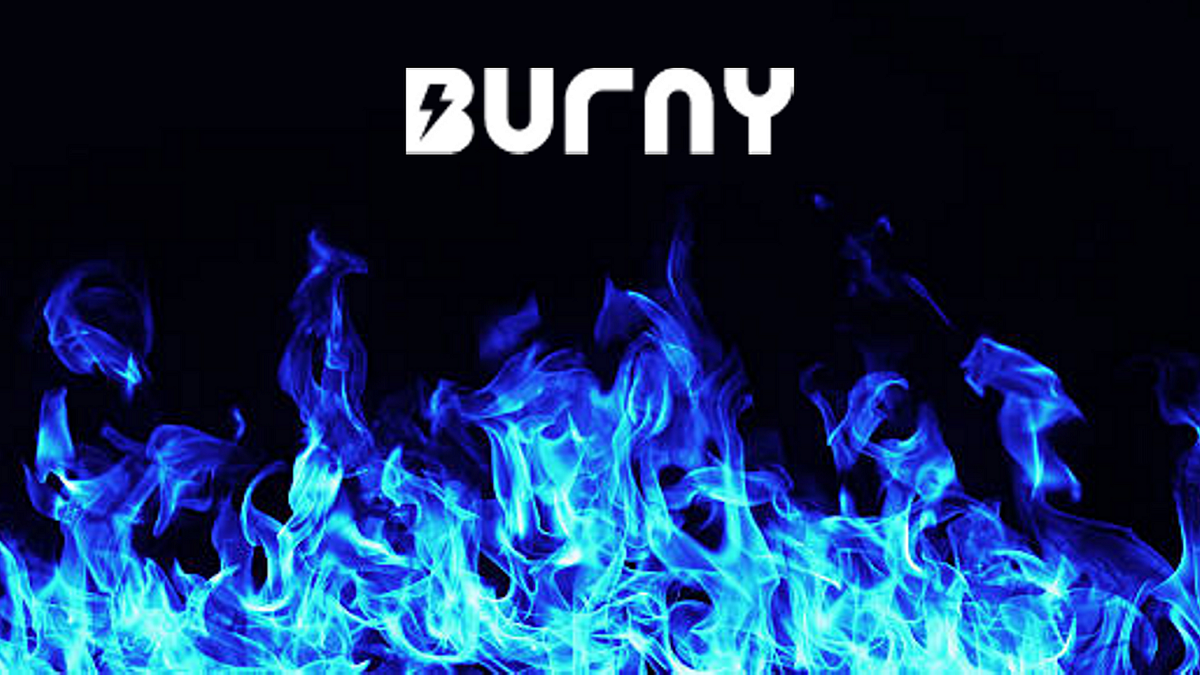 Burny (BRN): Dünyanın Kendi Kendini Yakan Hiper Kripto Para Birimi | by ...