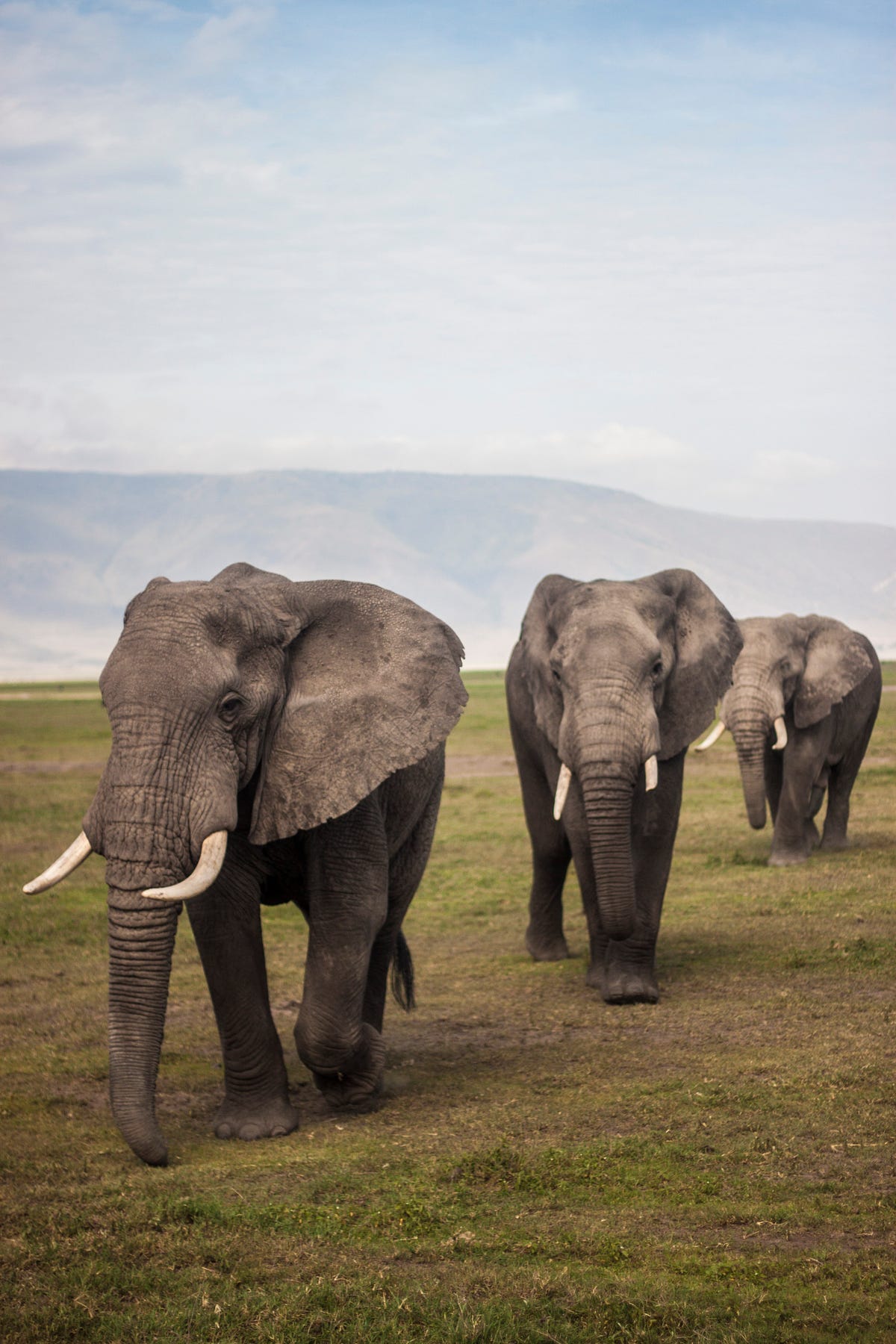 Introduction To Postgresql Part 3 By Mike Wolfe Towards Data Science