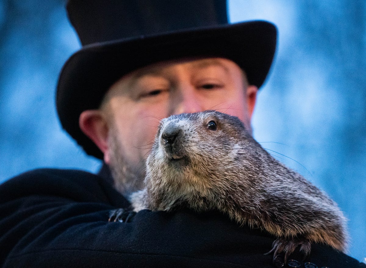 Groundhog Day. On February 2nd of every year, a… | by JJ | Medium