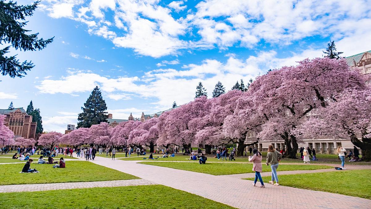 Dear Junior Year. My junior year has been a… | by Adam Amster | Medium