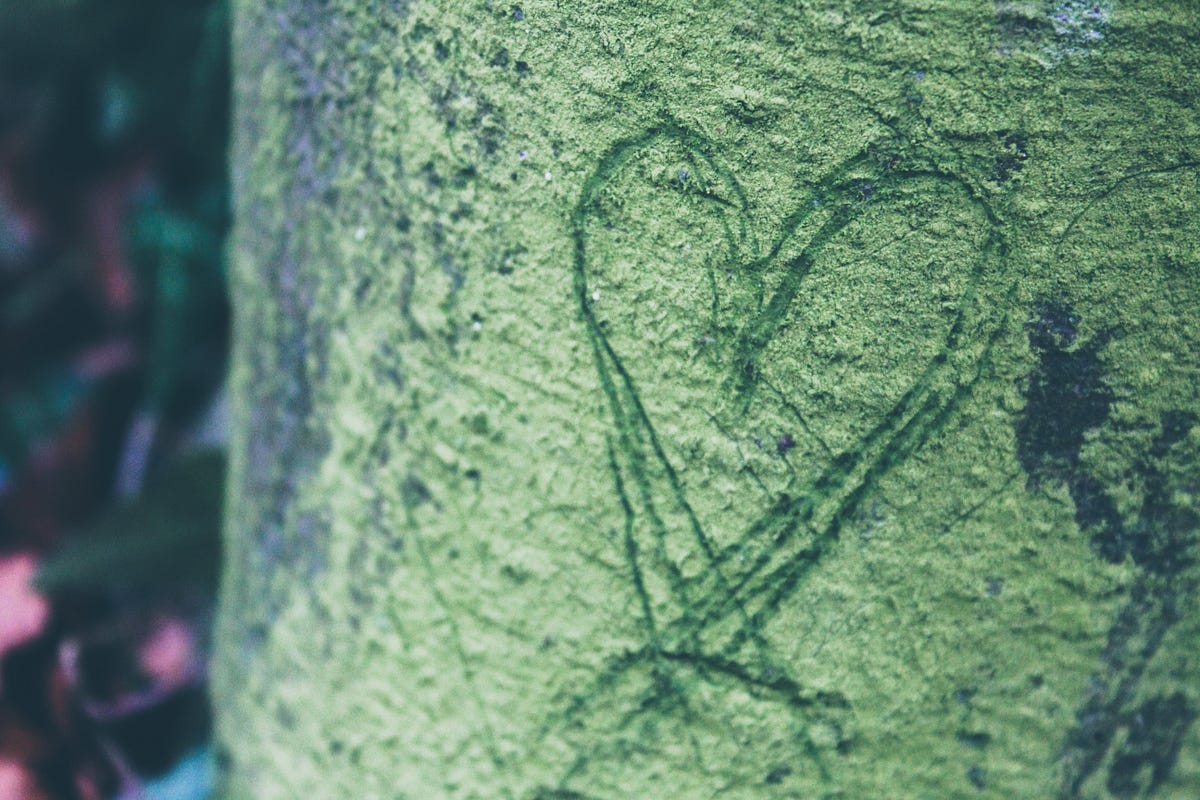 Love is Green. Did you know that the color of love is… | by Lotus Laura ...