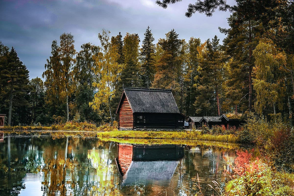 Sustainable Elegance: Unveiling Finland’s Passion for Timber ...
