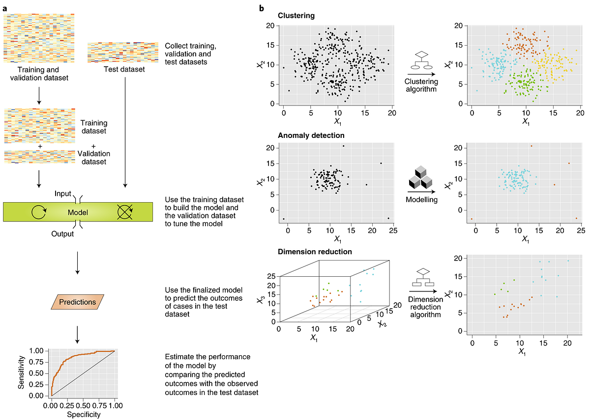 Integrating Machine Learning in Biomedical Engineering: A Comprehensive ...
