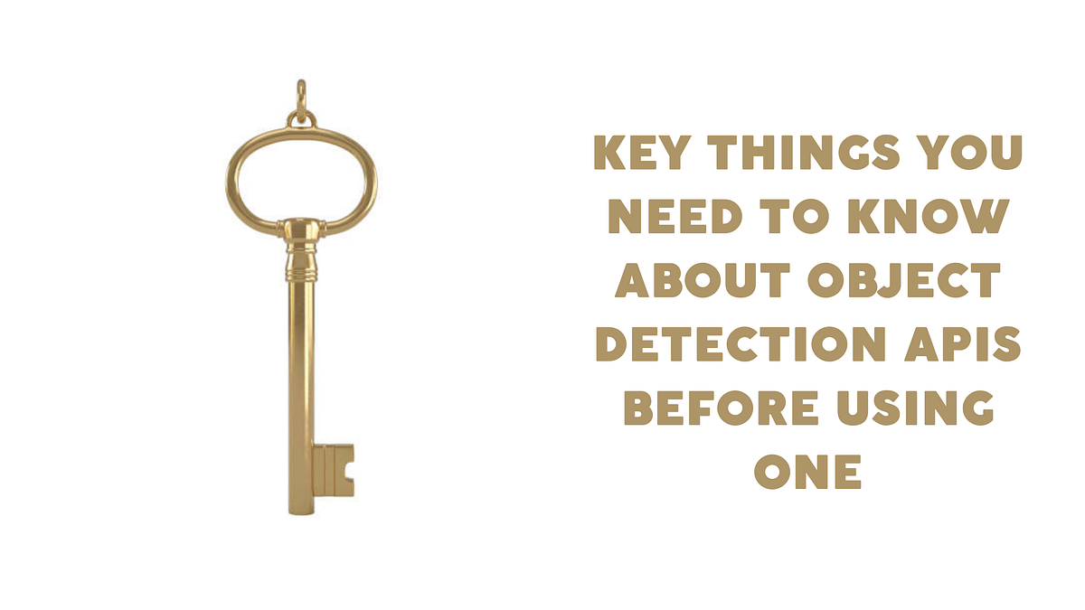 Key Things You Need To Know About Object Detection APIs Before Using One | by TheStartupFounder ...