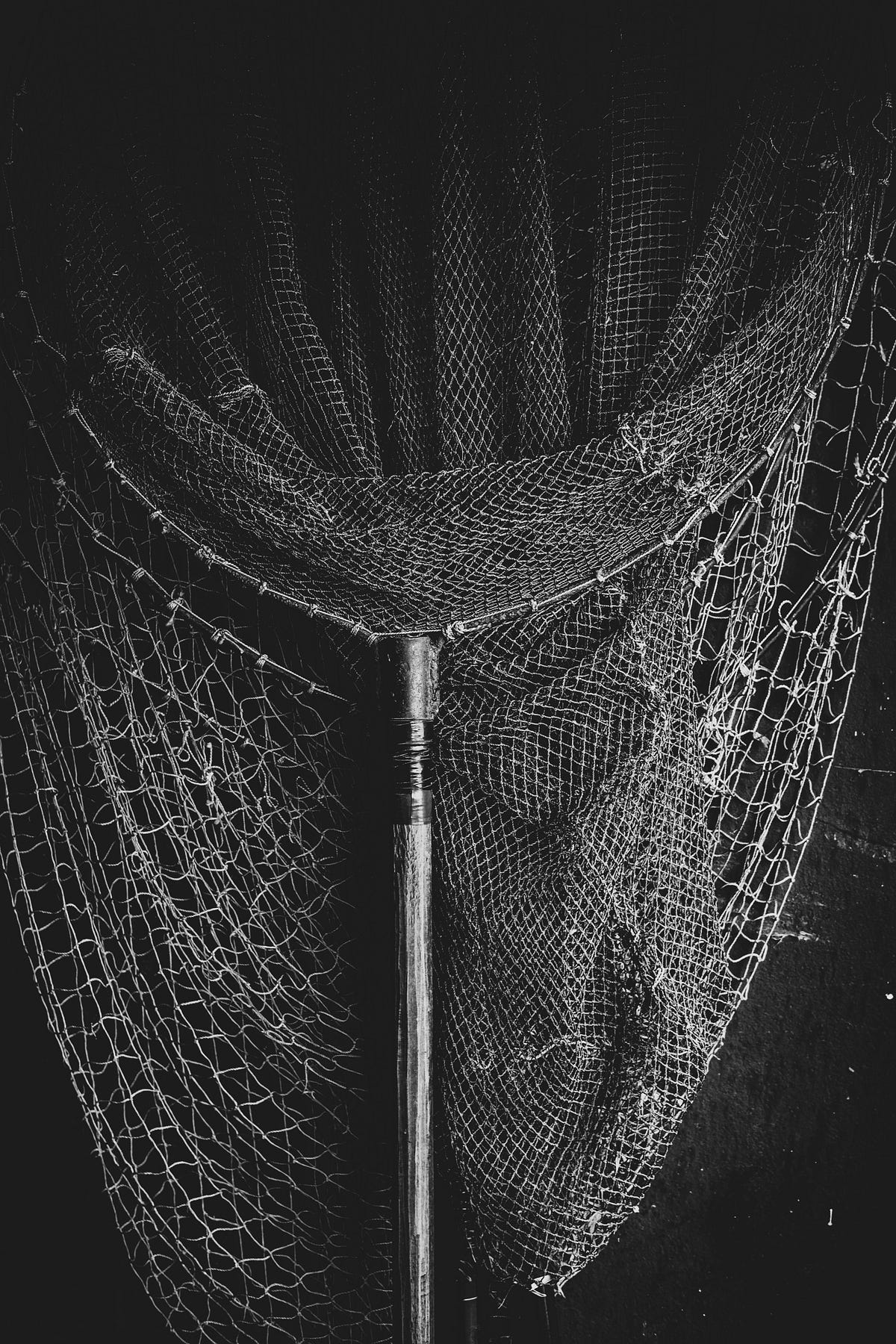 Women Cheaters! Stop Casting a Wide Net. | by Clara | The Scarlett ...