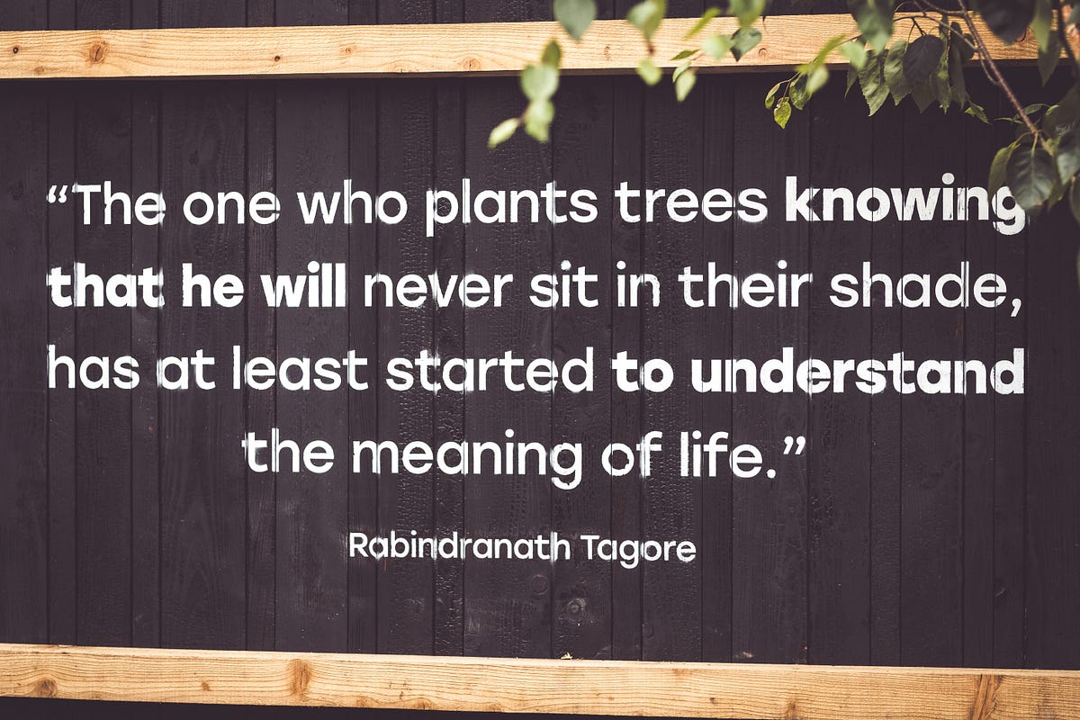 Of words and meanings…. true meaning requires more than just… | by ...