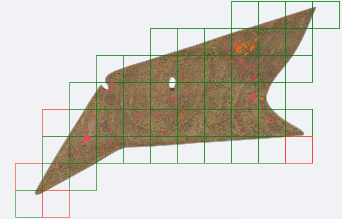 Continuous innovation: How Gamaya reinvented its Ag image analysis ...