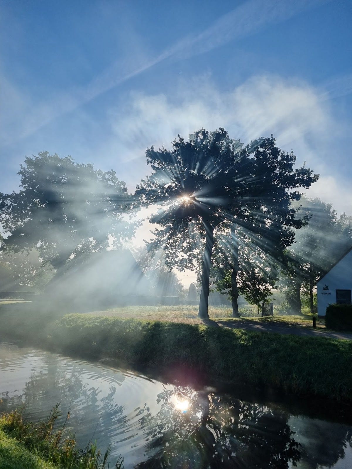 The Power of Poe-tree. Get inspired! | by Sadhbh Adamea | MATURITY INC ...