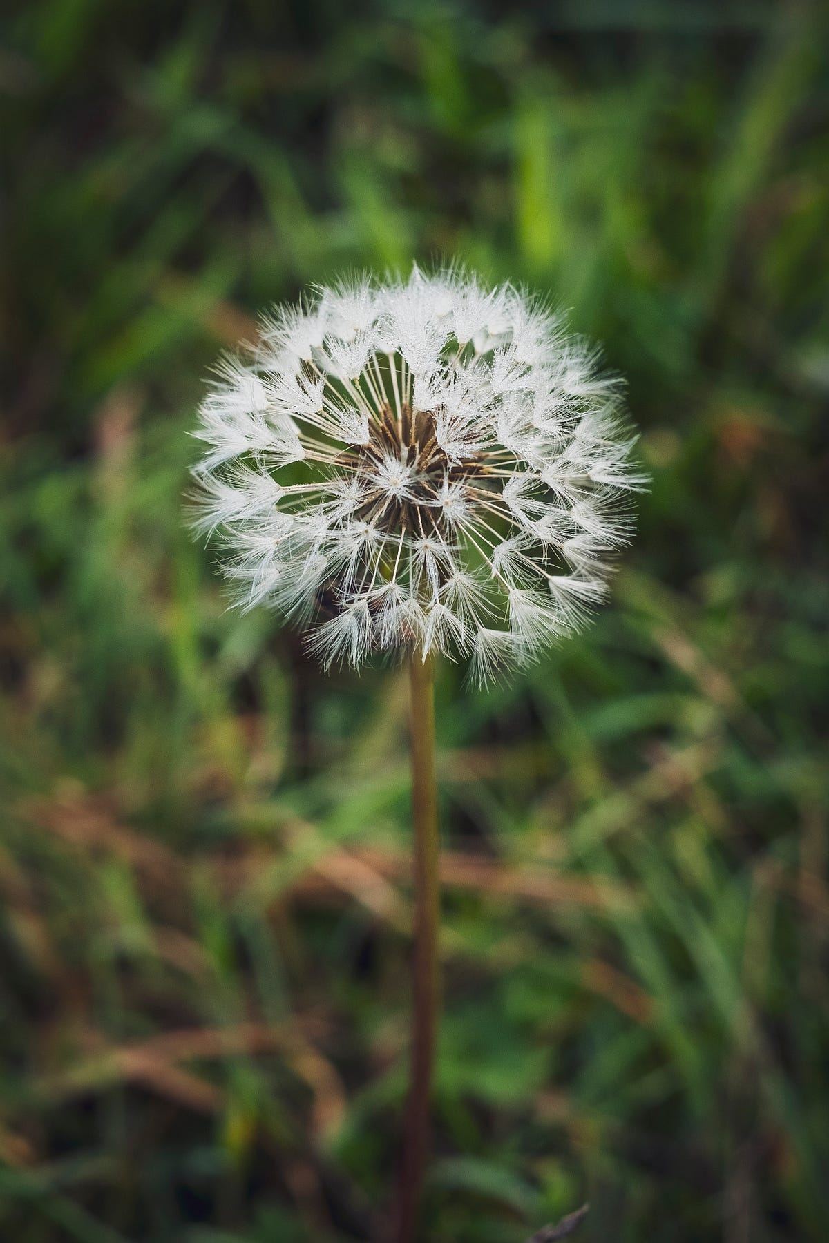 Physical Time. Today I watched an interesting movie… | by Tvzubov | Medium