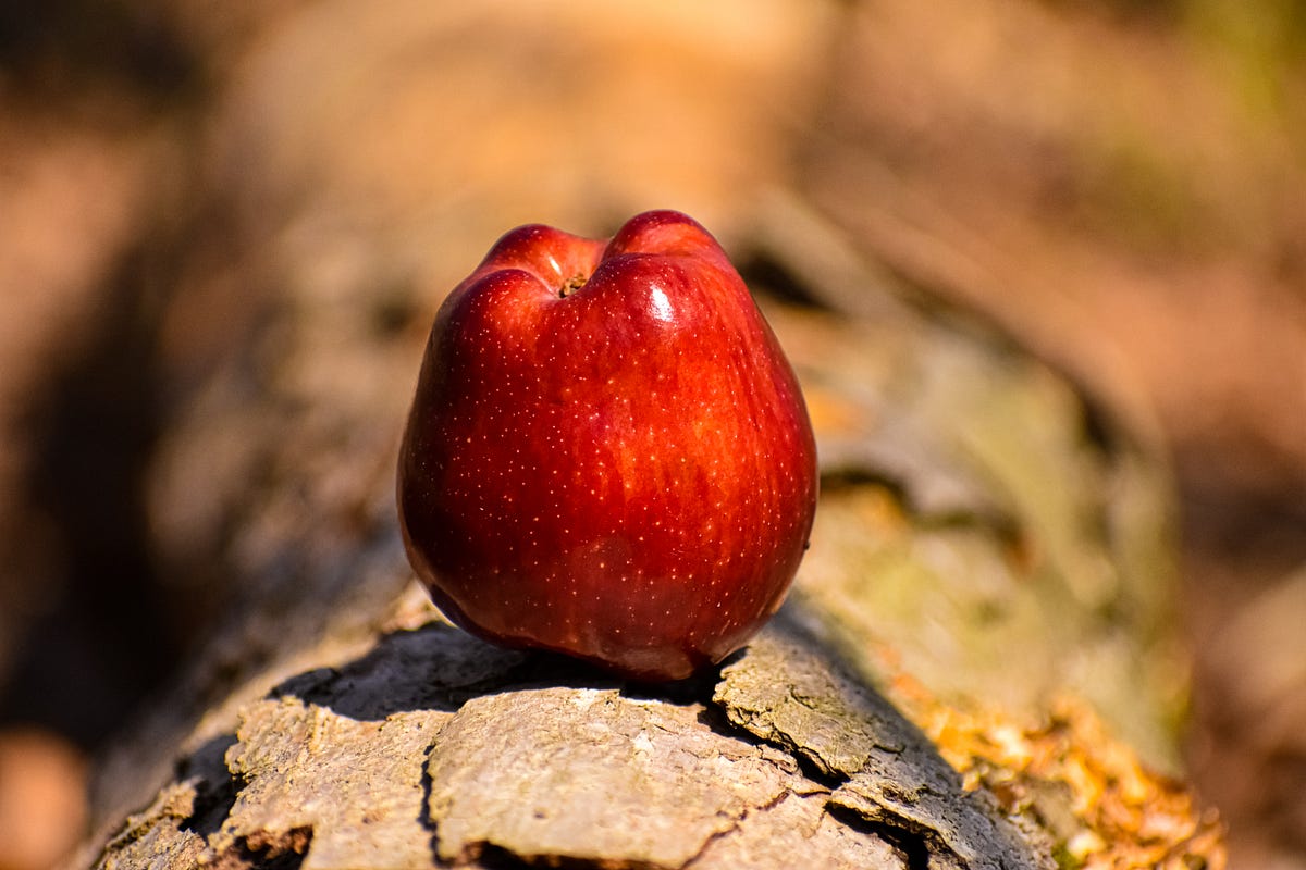 The Last Temptations of Pastor Smith | by Ron Mahler | Koinonia | Jun, 2023 | Medium