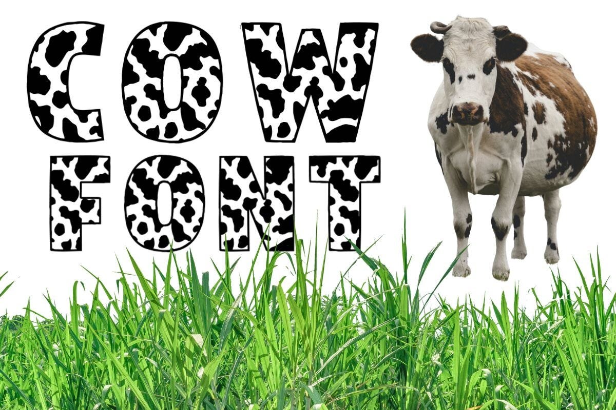 Cow Font | by Gracegrid | May, 2024 | Medium