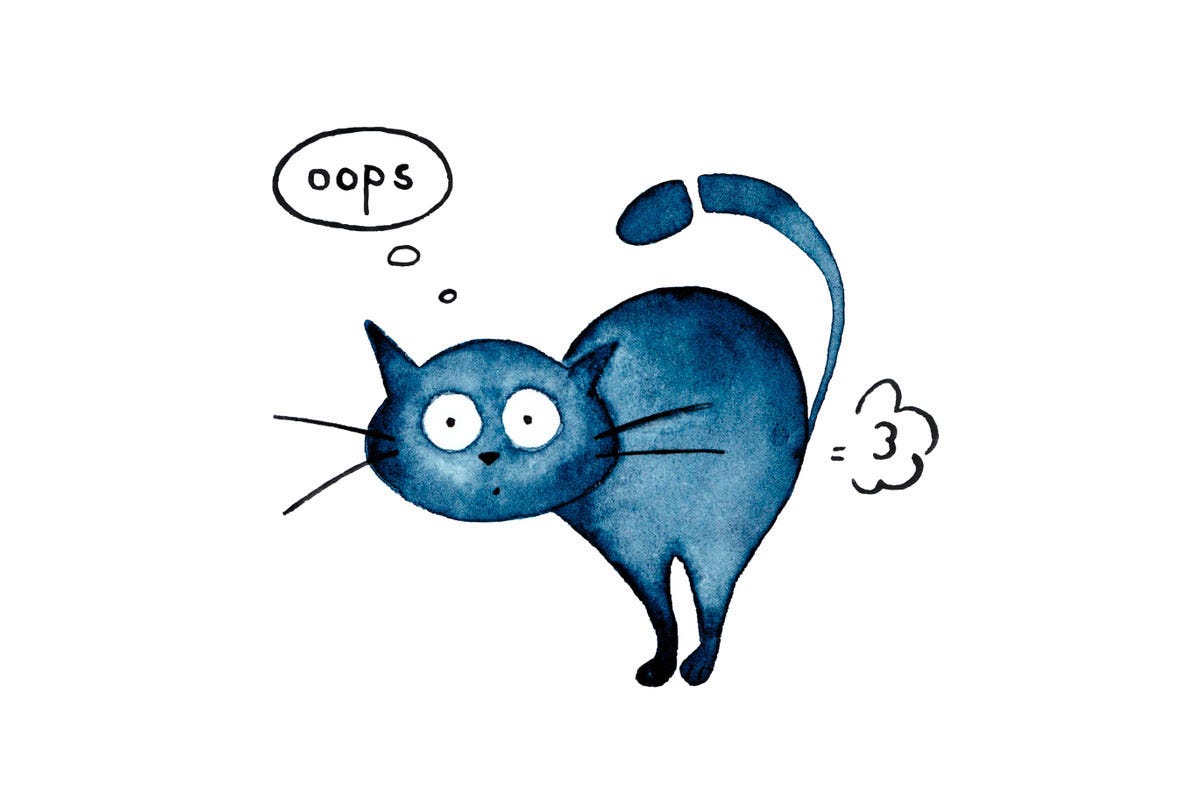 Do cats fart? - Sweeny jane - Medium