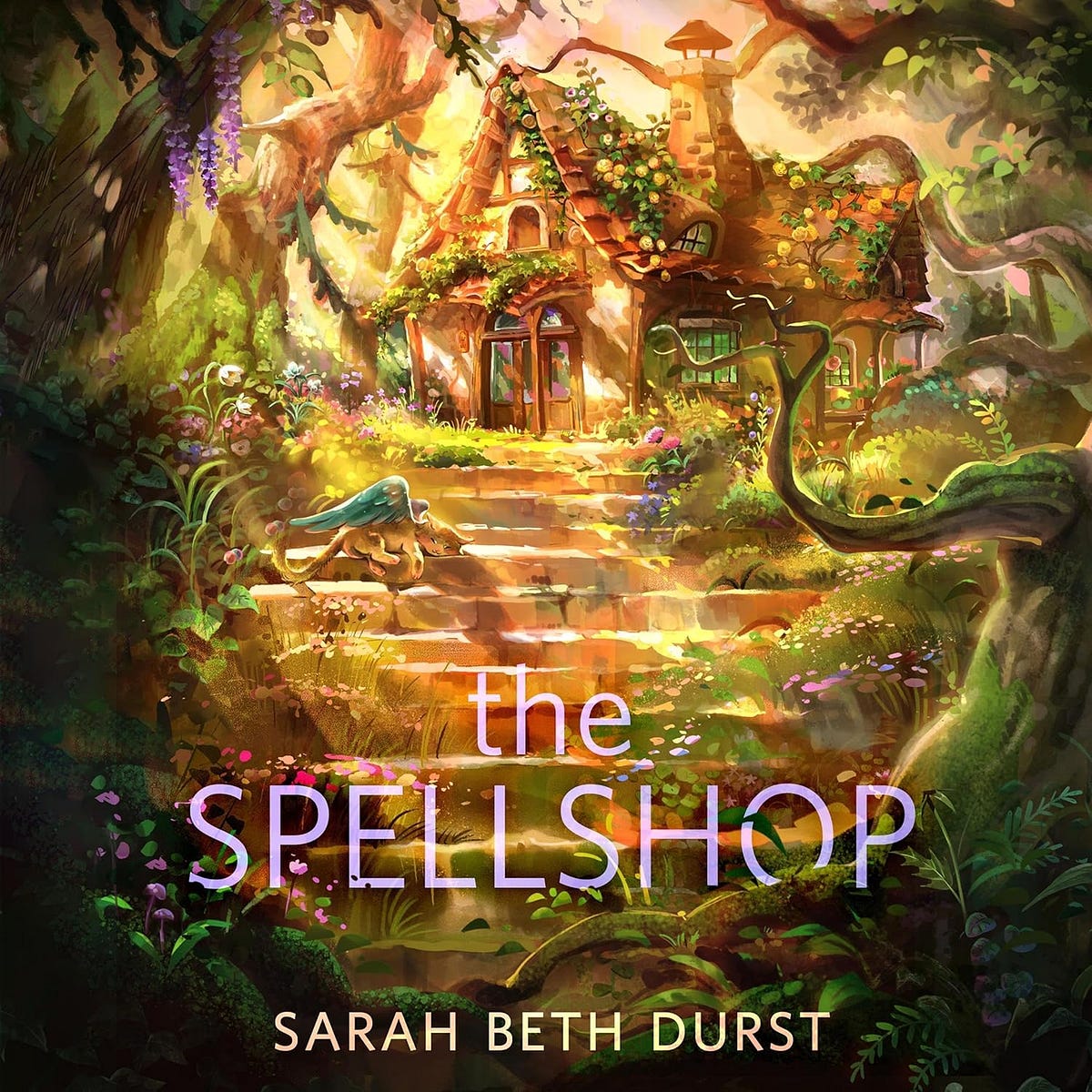 Book Review: The Spellshop by Sarah Beth Durst | by Jeff Murdock | Medium