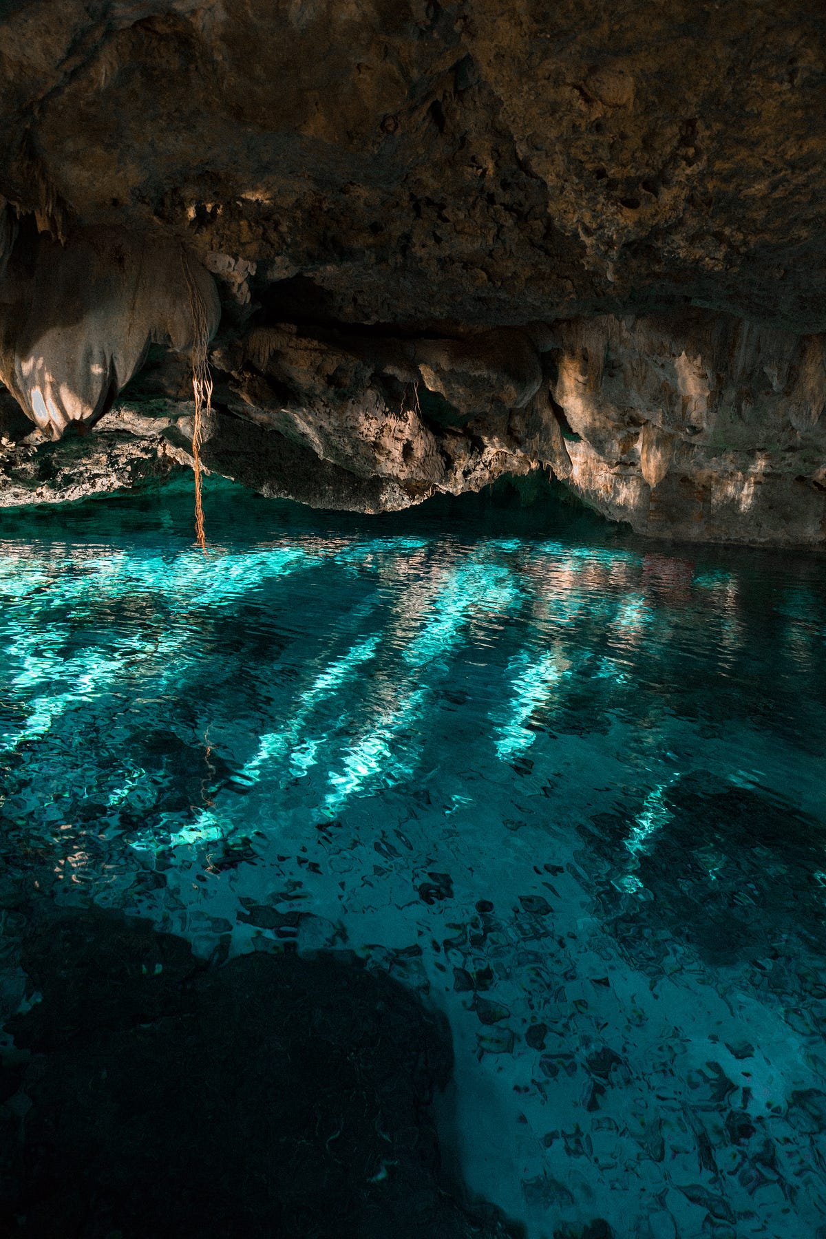 All About Cenotes of the Yucatan Peninsula | by Precambrian Tales | The ...