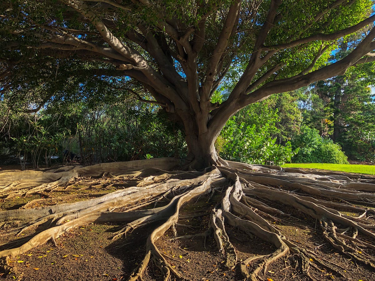 The common causes behind the Top 10 Challenges of Small Foundations | by Don S. Doering | Jul ...