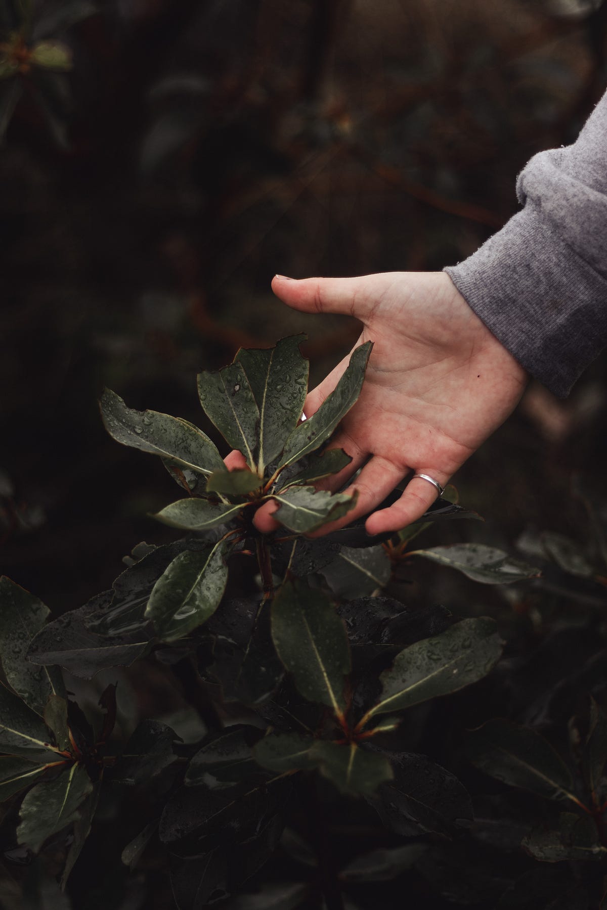 Life in Real Time. What we are doing | by Jill Eng | Mindful Reality ...