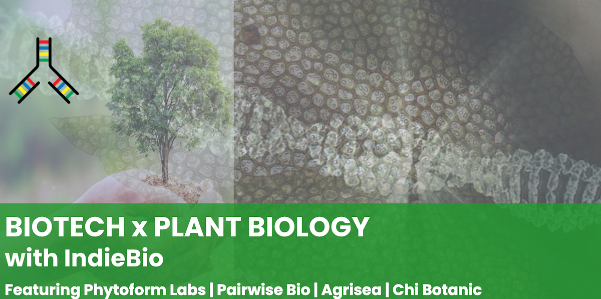 Plant Biology-Based Technologies in Biotech Startups | by SOSV Team ...