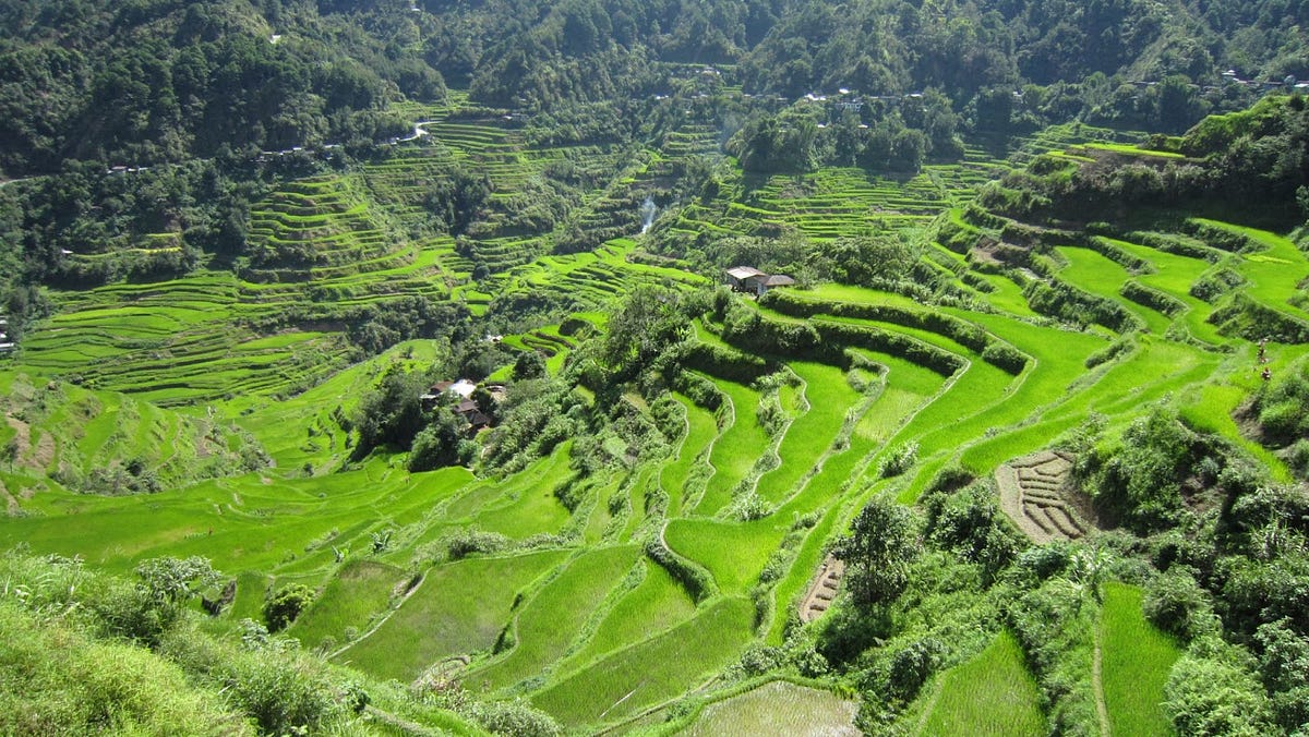 Hiking through the Banaue Rice Terraces | by Marcus Lanznar | Medium