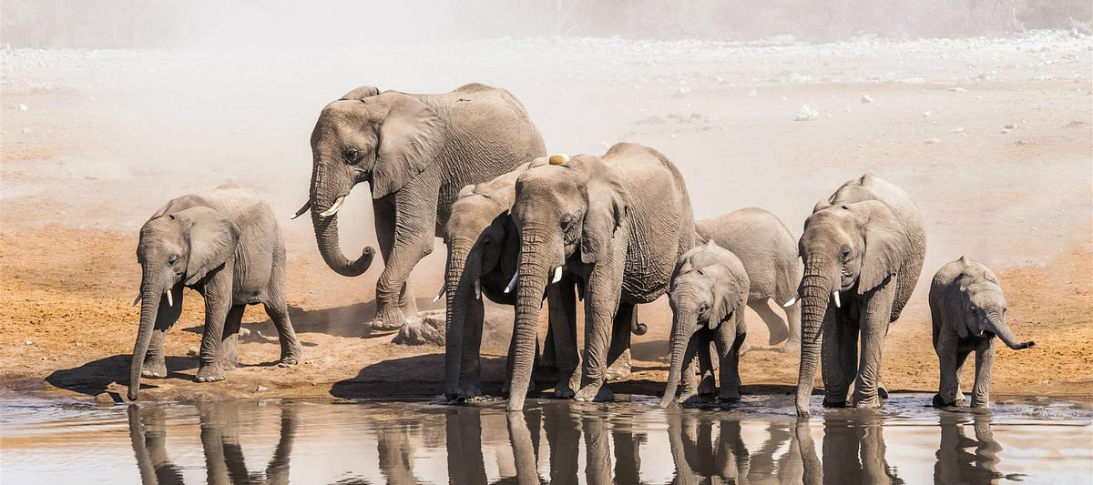 Comparing The Best 4 Code Editors for PHP Developers | by AltexSoft Inc ...