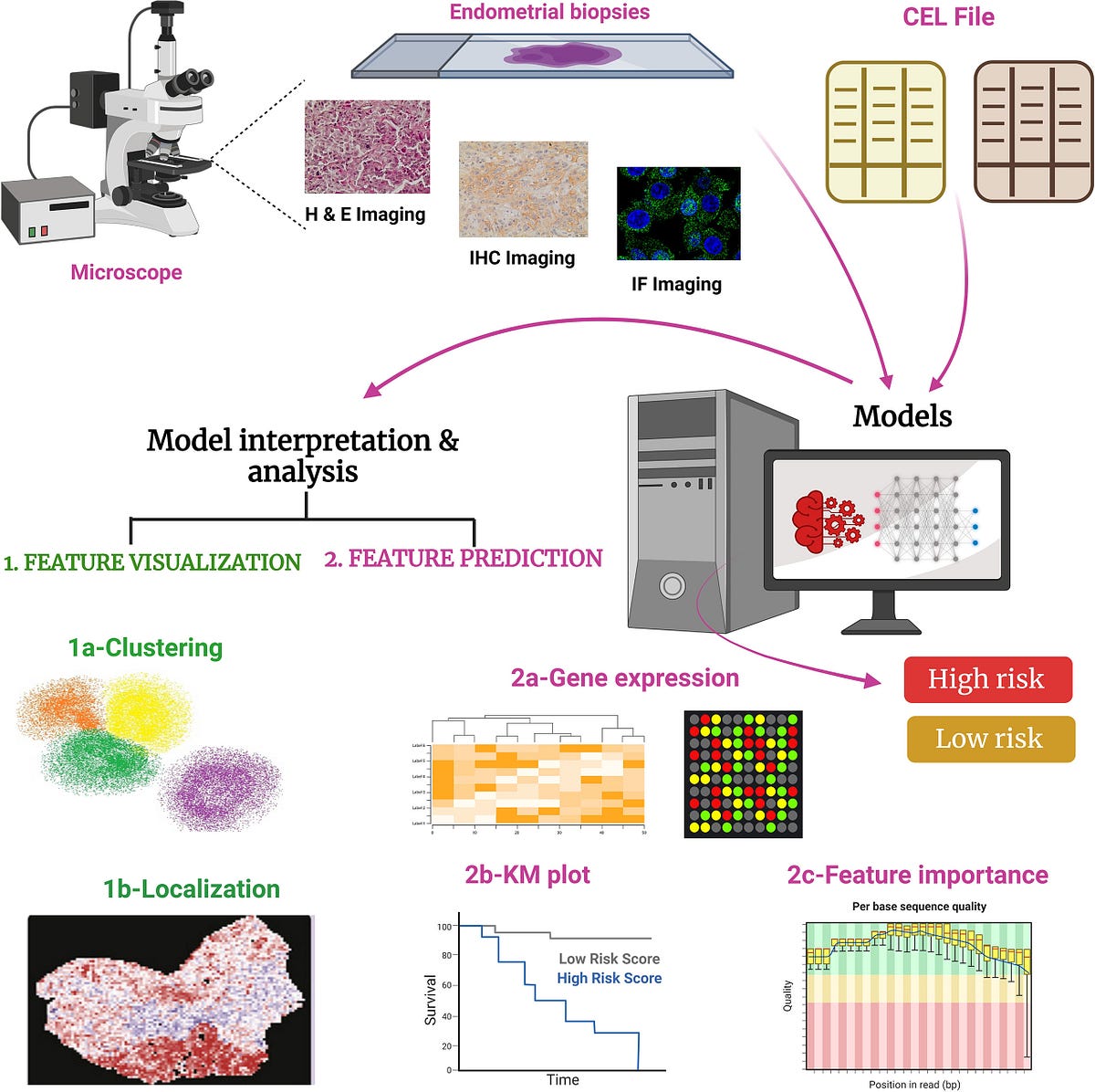 Machine Learning for Endometriosis: Identifying Markers of Inflammatory ...