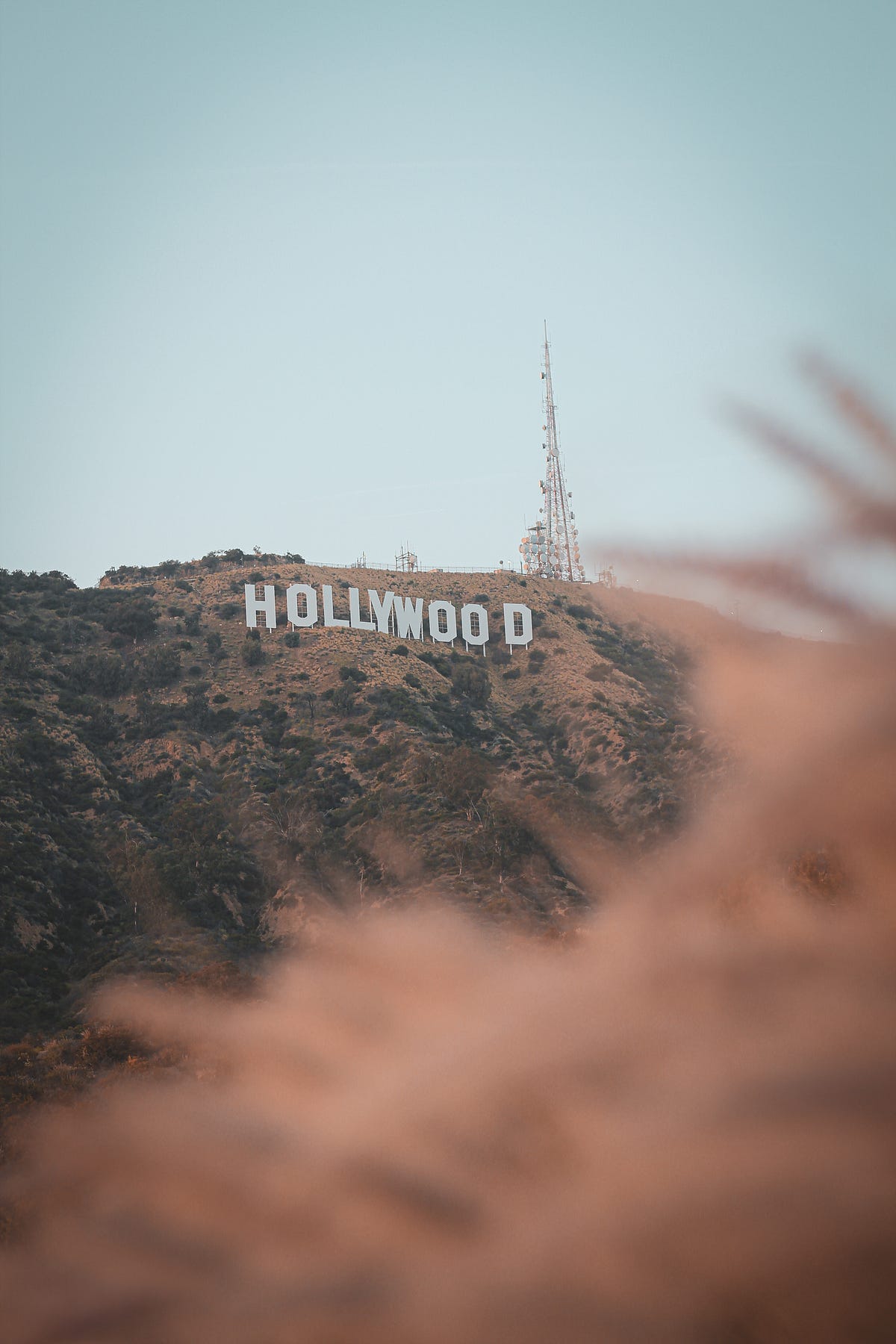 The Weird Series. Weird Thing #2: Why You Should Avoid… | by Mawde ...