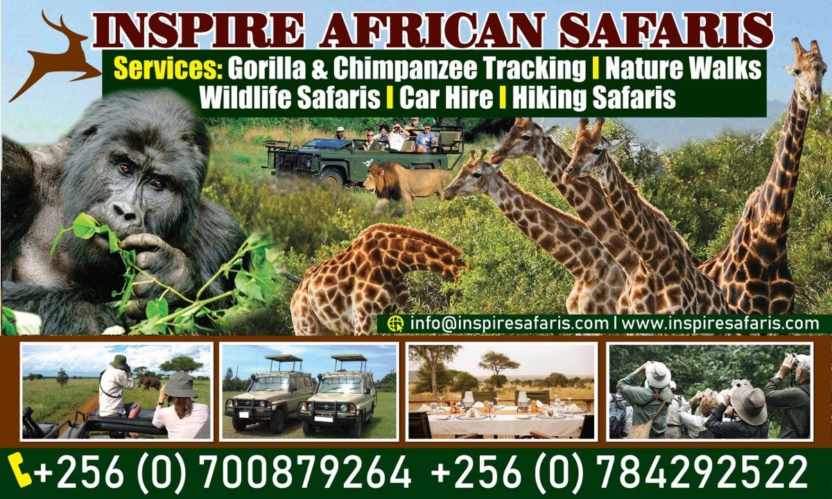 PLANNING A SAFARI. Planning a safari in Uganda is probably… | by ...