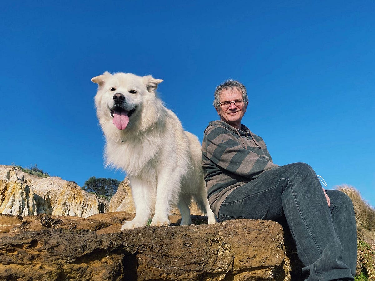 About Finn. by Stan M. Hampton East | by Kate Mularczyk | Dogs of Bayside