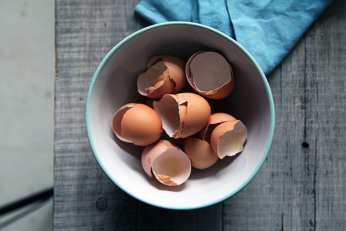 The Incredible, Edible … Eggshell? | by Alysia Herbert | Medium